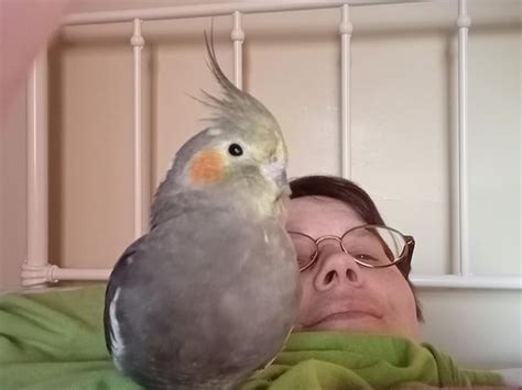 Content Borb After A Day Of Chaos And Napping Rborb