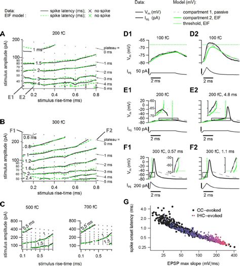 Effect Of Current Stimulus Waveform Kinetics On Latency Data And Model