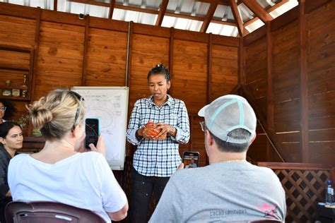 Exploring Cocoa And Chocolate Systems Relationships And Context