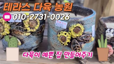 👩‍🌾 다육이 집 만들어주기 🏠 ㅣ 테라스 다육 농원010 2731 0026 Youtube