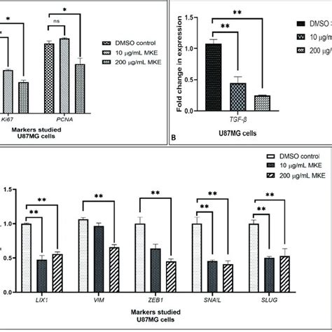 expression modulation of a proliferative genes ki67 and pcna b