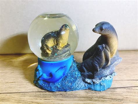 캐나다 리플리 아쿠아리움 물개 워터볼 콜리 Colley