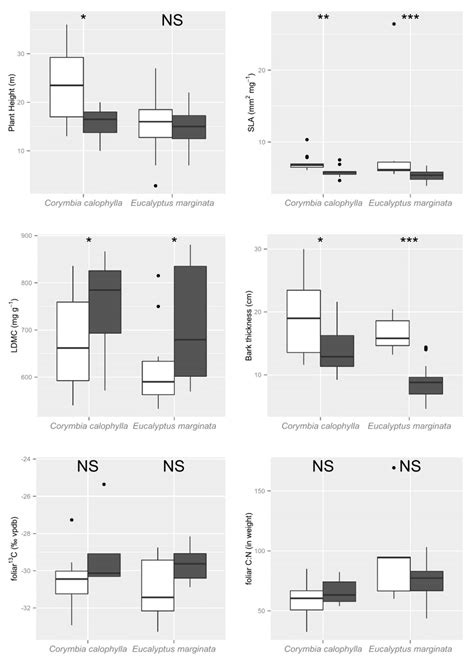 Intraspecific Traits Variability Medians And Distributions For The