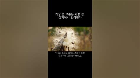 가장 큰 교훈은 가장 큰 상처에서 얻어진다 인생 패러독스 교훈 상처 철학 현실 생각 각성 초월 최고