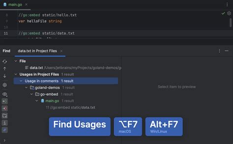 Embedding Files Goland Documentation
