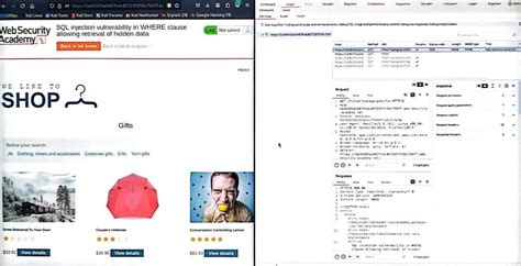 beginner portswigger labs walk through sql injection lab1 lab10 by