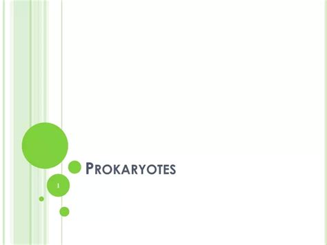 Ppt Exploring Prokaryotes Kingdoms Archaebacteria And Eubacteria