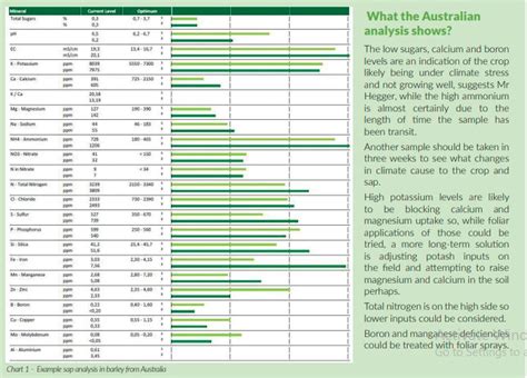 How To Interpret SAP Analysis Direct Driller