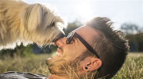 As Weird As It Gets Pets Can Boost Your Sex Appeal Life Style News The Indian Express