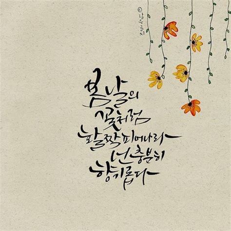 대전캘리대전레터프레스대전수제종이 캘리그라피카드수제종이만들기 캘리그라피 레터프레스엽서대전공방캘리수업수제도장일러그라피대전캘리대전레터프레스대전수제종이