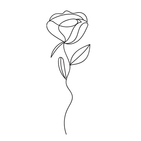 장미 라인 아트 벡터 귀여운 장미 로즈 라이너 꽃 Png 일러스트 및 벡터 에 대한 무료 다운로드 Pngtree