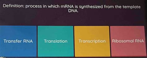 Solved Definition Process In Which Mrna Is Synthesized From The