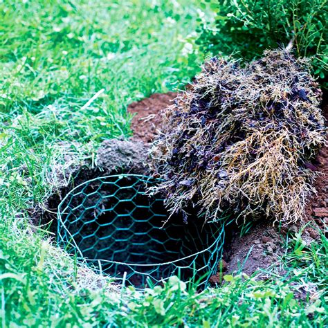 Wire Fence And Netting Fence Posts Archives Origin Point Brands High Quality Products