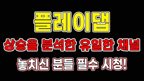 플레이댑 플레이댑전망 상승을 분석한 유일한 채널 놓치신 분들 필수 시청 Youtube