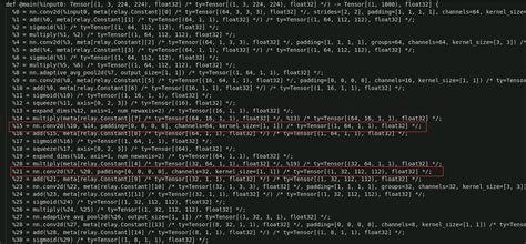 error occured to efficientnet in structure after prerequisite optimize