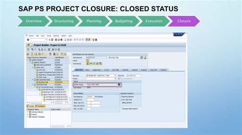 Sap Project Systempptx