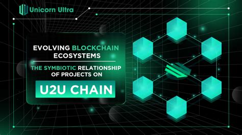Evolving Blockchain Ecosystems The Symbiotic Relationship Of Projects
