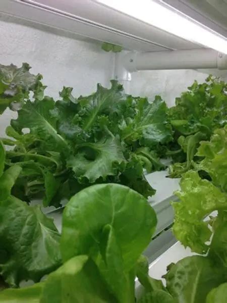 The CropBox Could Change The Way We Grow Crops Forever