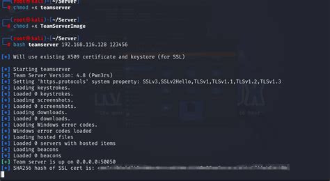最新cobalt Strike 48（专业版）附下载链接（ Generating X509 Certificate And