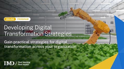 Jordi L On Linkedin Developing Digital Transformation Strategies