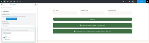 How To Use Mailchimp Tags With Avada Forms Avada Website Builder