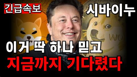 시바이누 이래도 안 가면 그냥 버립니다 Youtube