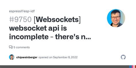 Websockets Websocket Api Is Incomplete Theres No Way To Refuse A