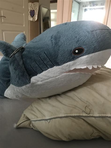 Just came home to see my blahaj got arrested 😳 : r/BLAHAJ