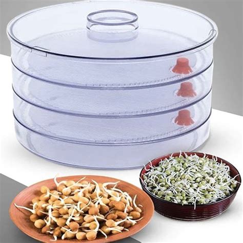 Sprout Maker At Best Price In Vadodara Gujarat Myroyal Multi