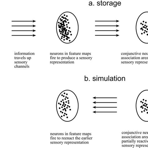 Illustration Of The A Storage And B Simulation Of Sensorimotor Download Scientific Diagram