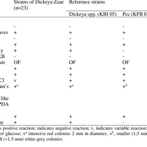 Physiological And Biochemical Characteristics Of Dickeya Zeae Isolated