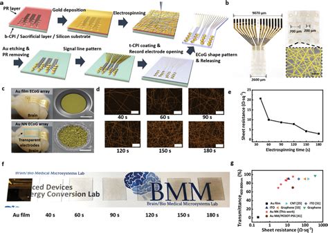 Gold Nanonetwork Au Nn Microelectrodes For Ecog Neural Interface A Download Scientific
