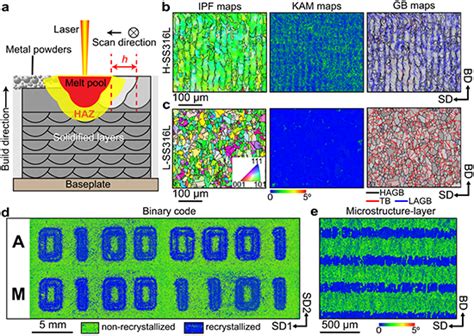 Advancing Metal Additive Manufacturing Engineering Microstructures For Tailored Properties