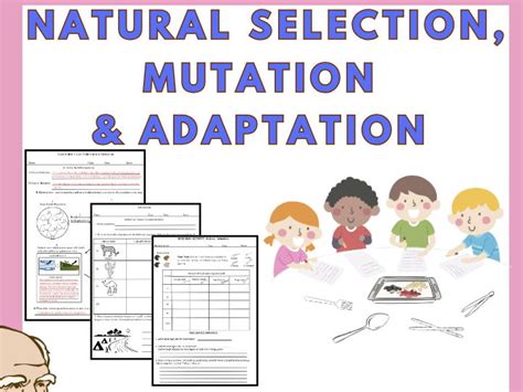 Natural Selection Mutation And Adaptation Multiple Activity Lesson