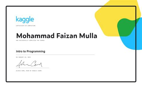 Mohammad Faizan Mulla On Linkedin Ive Completed The Intro To Programming Course On Kaggle
