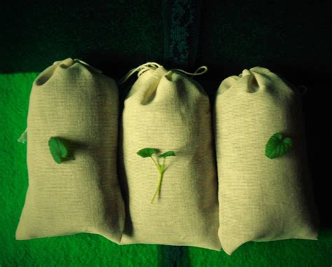 Catnip Sachets Set Of 3 Muslin Sachet Pouches Etsy