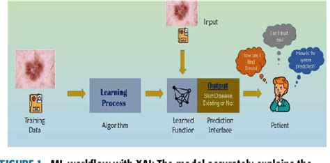 Figure 1 From An Interpretable Skin Cancer Classification Using Optimized Convolutional Neural