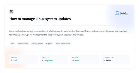 How To Manage Linux System Updates Labex