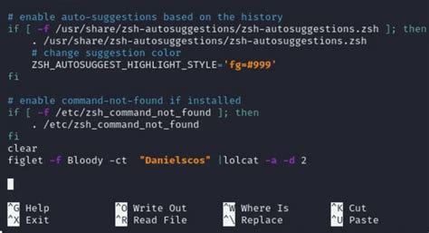 Problem With Zshrc Rdebian