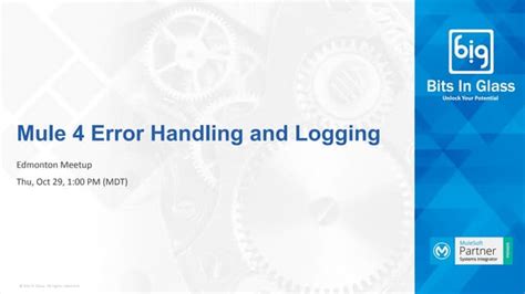 Virtual Meetup Mule 4 Error Handling And Logging Pdf