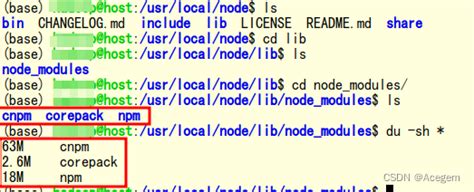 Node和npm安装和使用node18150安装包 Csdn博客