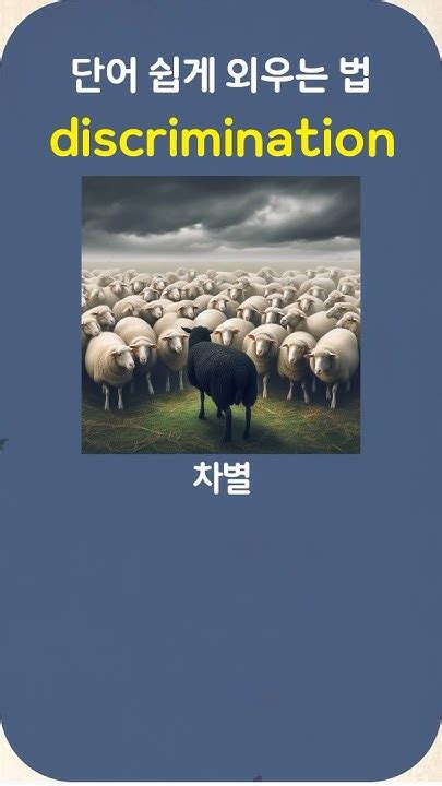 단어 쉽게 외우는 법 영어회화 영어 영어공부 Youtube