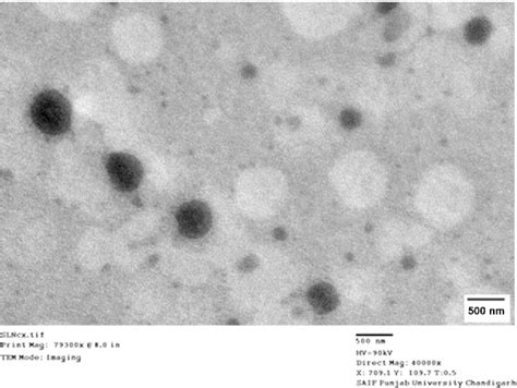 Figure 10 From Development And Optimization Of Itraconazole Loaded Solid Lipid Nanoparticles For