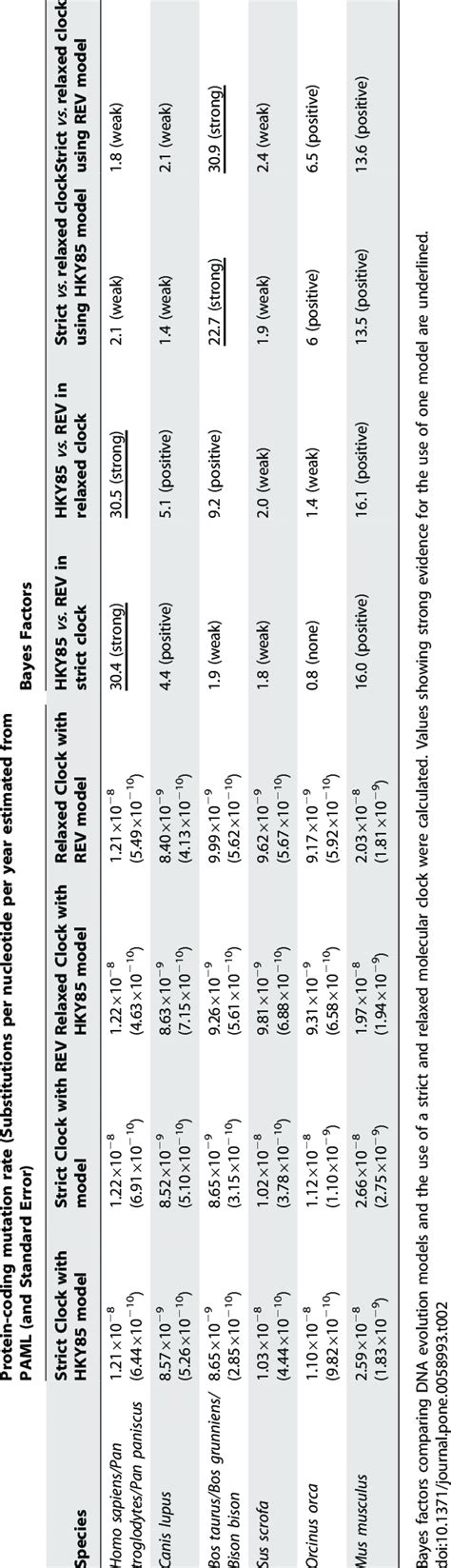 Protein Coding Substitution Rates Obtained Using Bayesian Analysis For