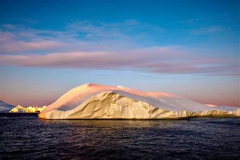 Understanding Cultural Encapsulation Definition And Examples Insight Tribune