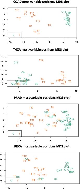 Multidimensional Scaling Plot To Assess Similarity Of Samples Download Scientific Diagram