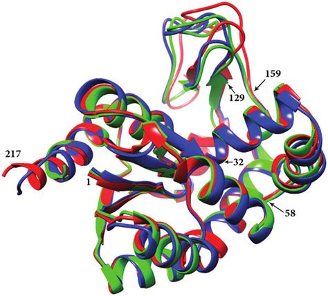 Structure Alignment Of Adenylate Kinases The Structural File Of Download Scientific Diagram