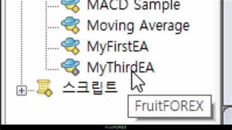 폴더와 파일 메타트레이더 자동매매시스템 Ea개발 및 Mql프로그래밍 강좌강의 Fx마진 Mt4 시스템 트레이딩 강좌강의 Youtube