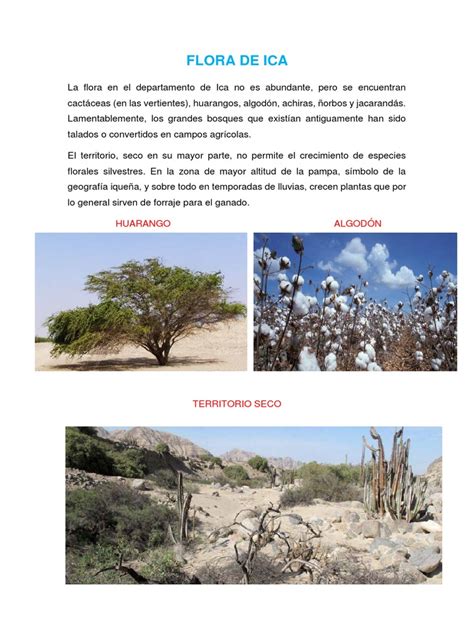 Flora Y Fauna De Ica Pdf