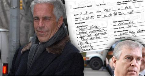 Something To Hide Jeffrey Epstein Orgy Plane Sex Logs ‘sanitized To